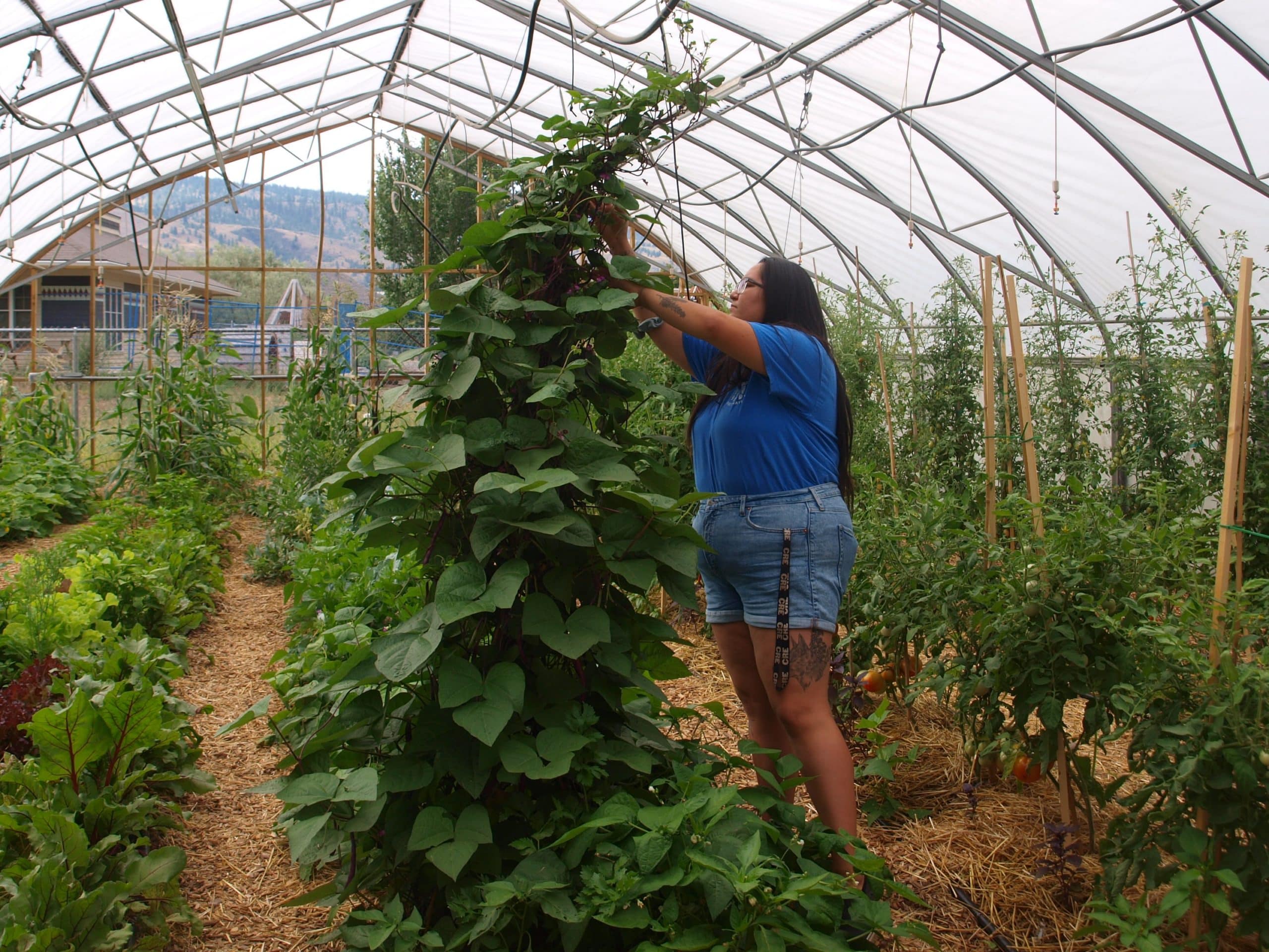 How the Kweseltken Project grows food sovereignty — The Wren