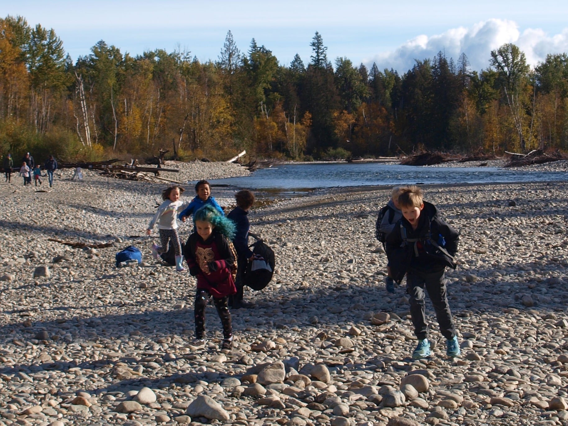 Adams River salmon through the eyes of Kamloops students – The Wren