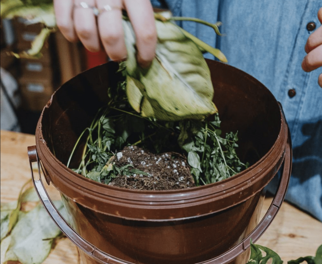 Sustainable Kamloops stores helping residents reduce waste
