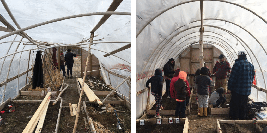 Meet Shay Paul, The Wren's new reporter